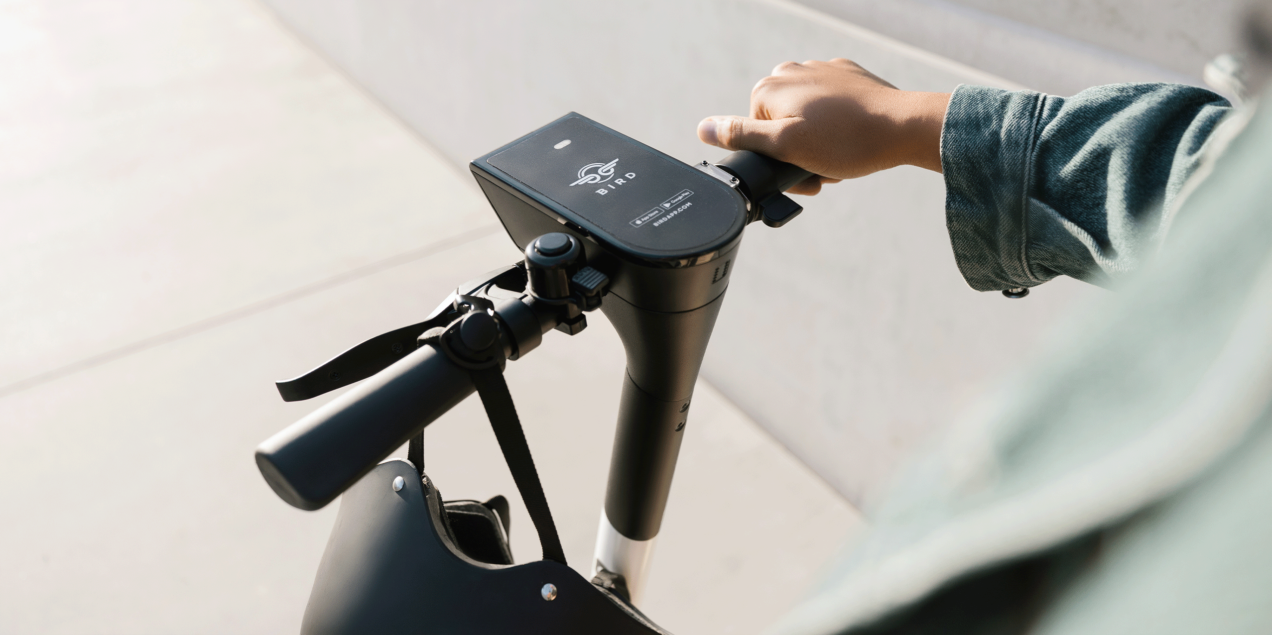 Bird’s Impact on the Phoenix Area - Bird · Enjoy the ride