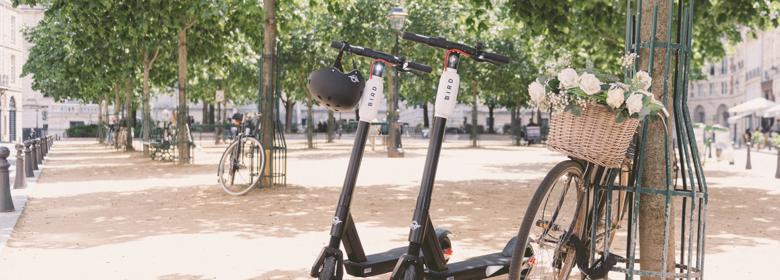 Bird to Open Paris-based France Hub; Commits to creating a Thousand ...