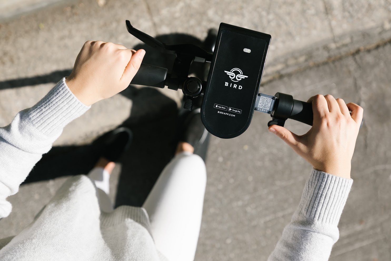 Bird Begins Measured Rollouts as Cities, Countries Turn to Micromobility