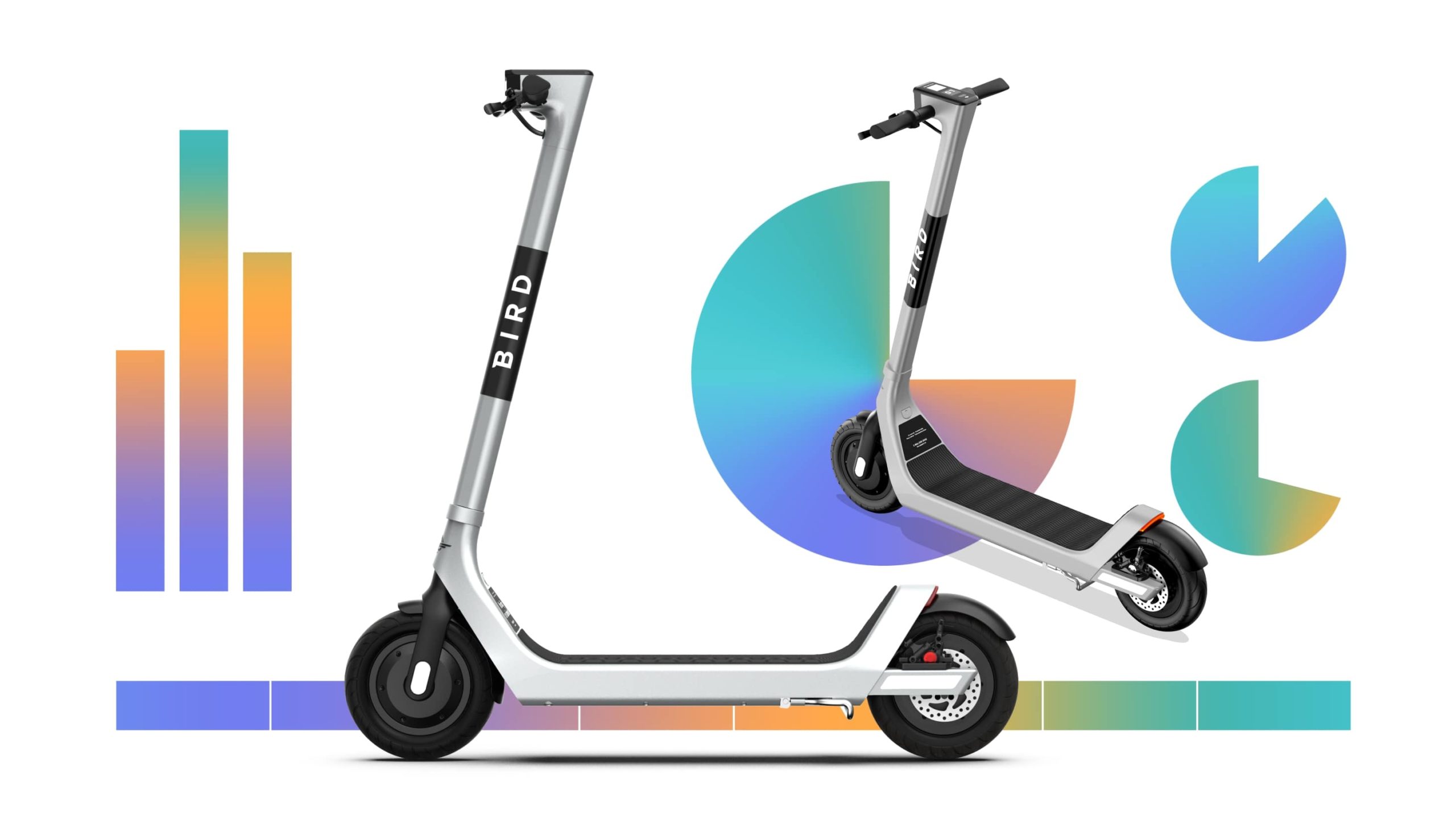 Bird’s Vehicle Advantage Explained in 3 Key Points