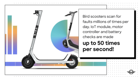 Bird’s Vehicle Advantage Explained in 3 Key Points