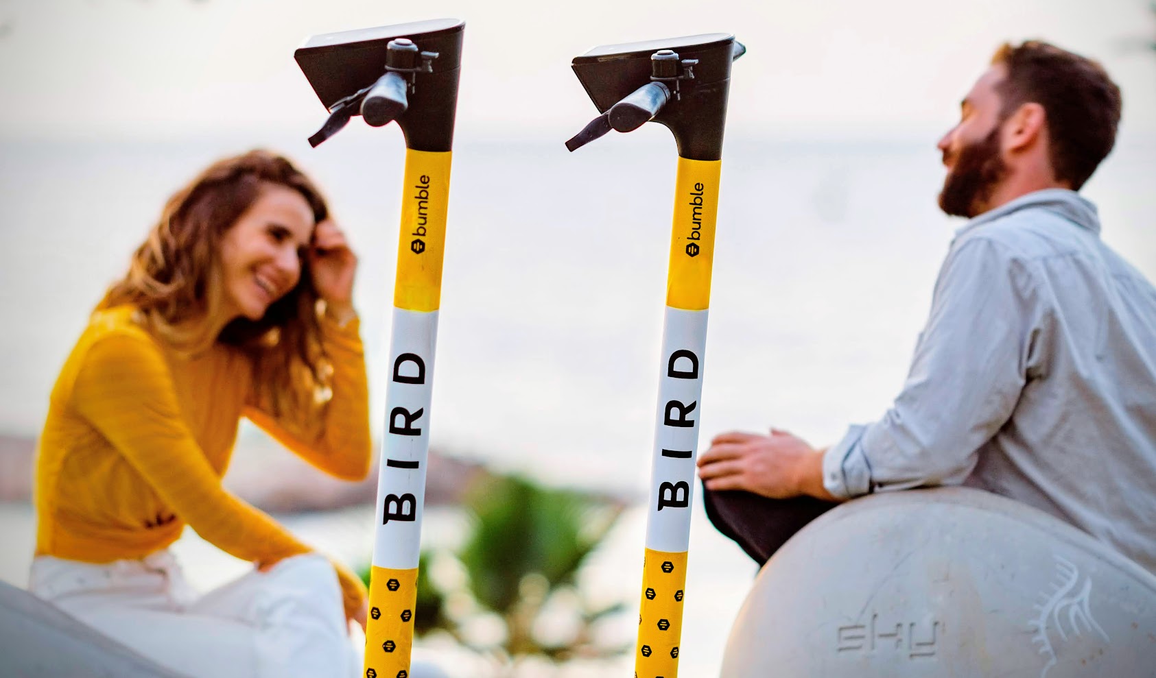 Bird, Bumble Pair Up to Create Meaningful Connections in a COVID World