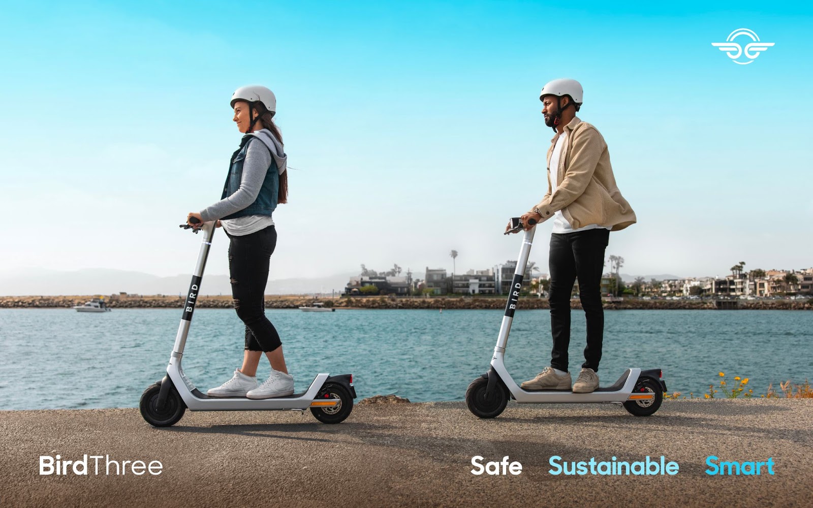 Bird scooter website store