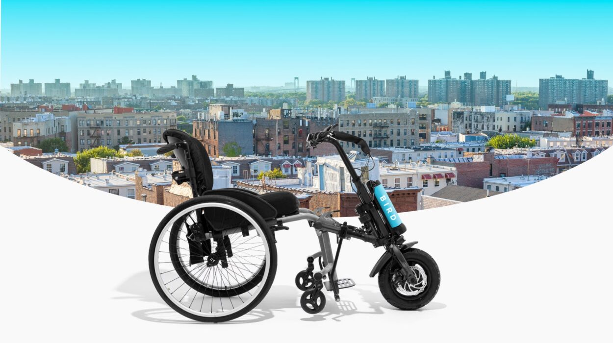 Bird’s Exclusive Accessible Mobility Program Expands to Seattle, San Jose