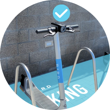 Safety First - Bird · Enjoy the ride